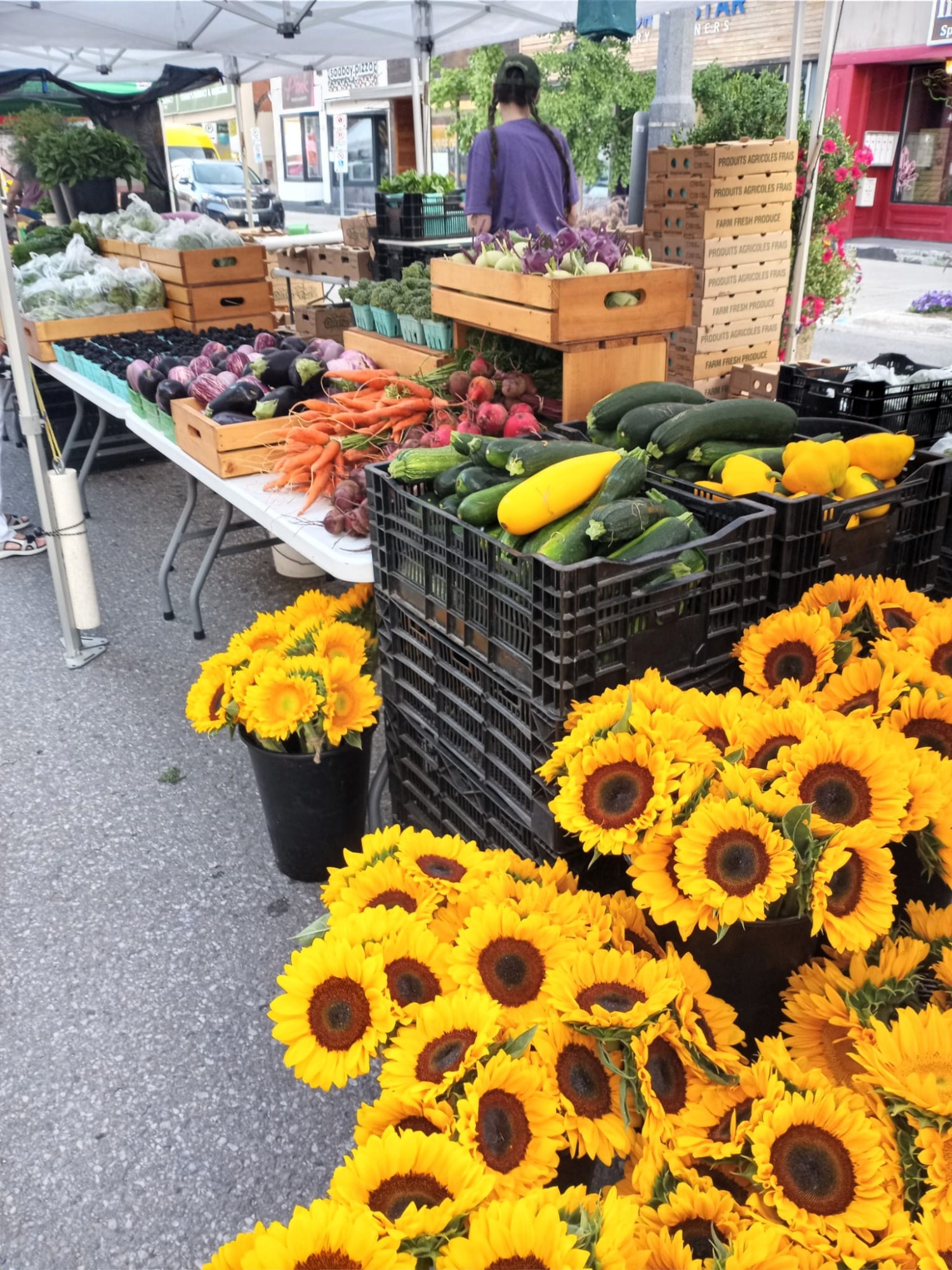 | Keep updated on all that is happening around Thiessen Farms!