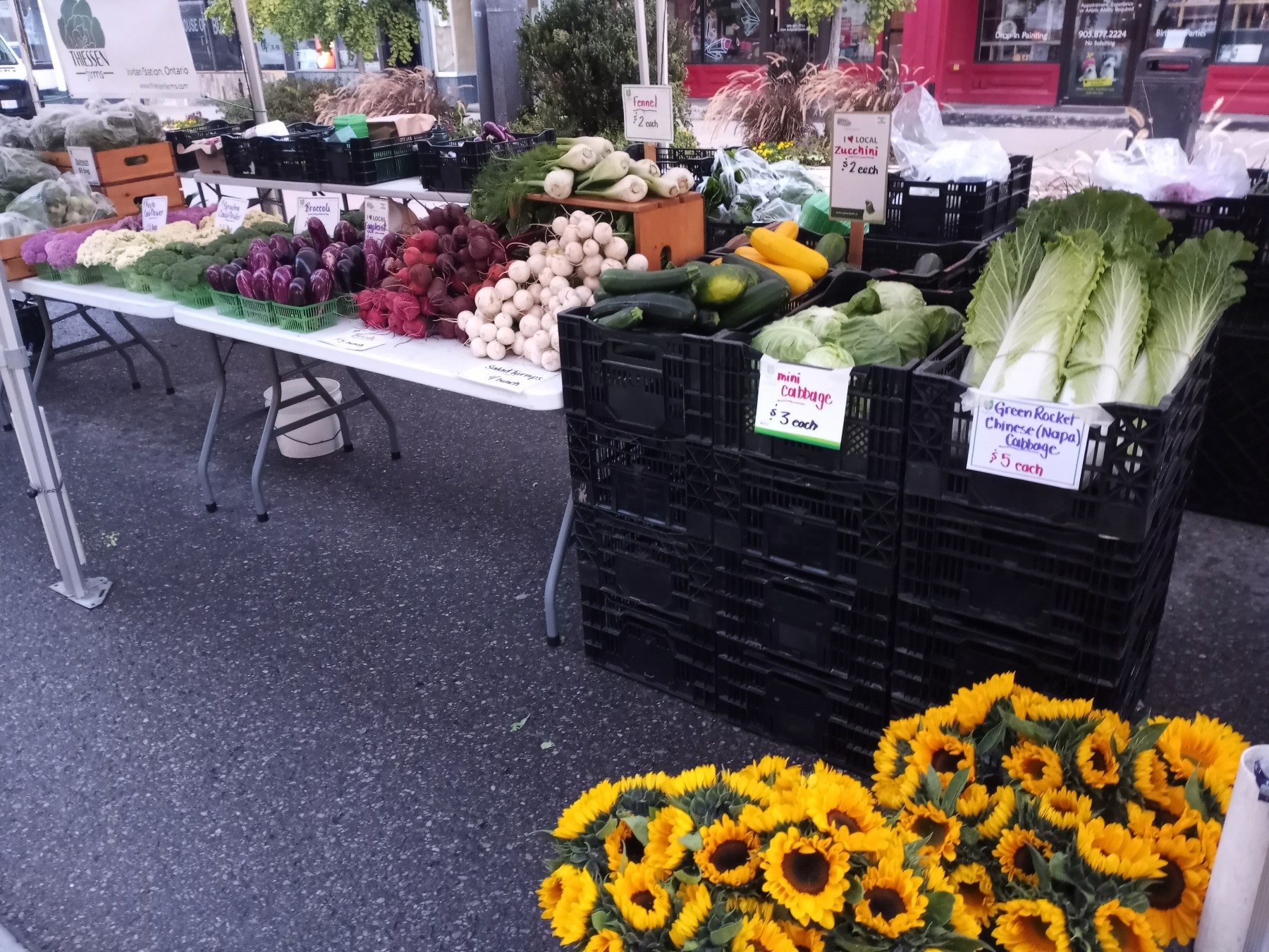 | Keep updated on all that is happening around Thiessen Farms!